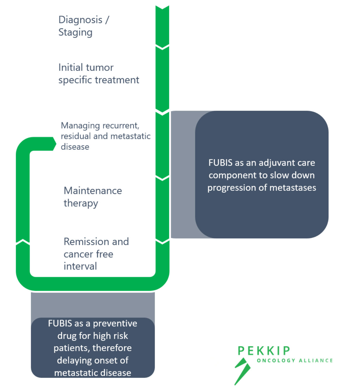 PEKKIP ONCOLOGY ALLIANCE - FUBIS - Targeted treatment of bone metastases